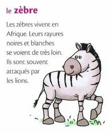 法语法国词典--图解词典